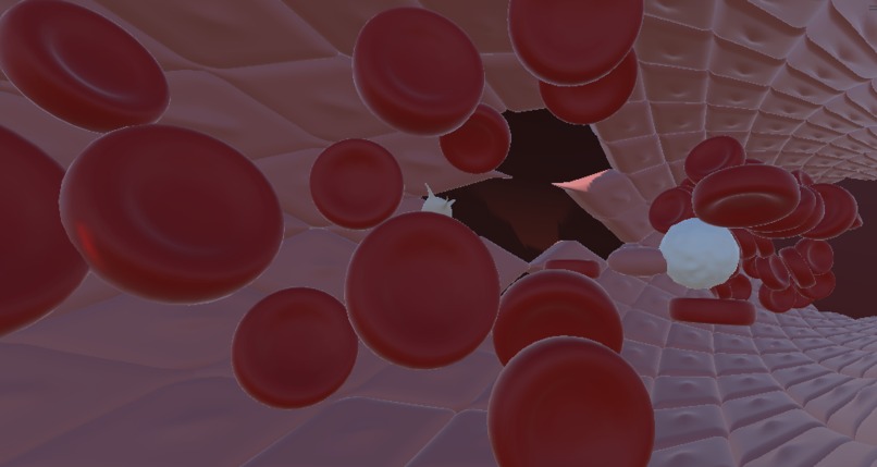 Steven Le | Portfolio